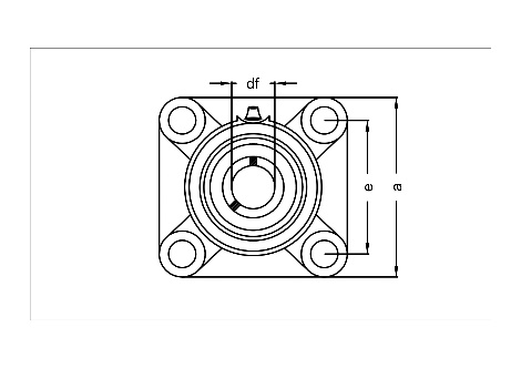 SKU: F 204 PL | Baleros Internacionales